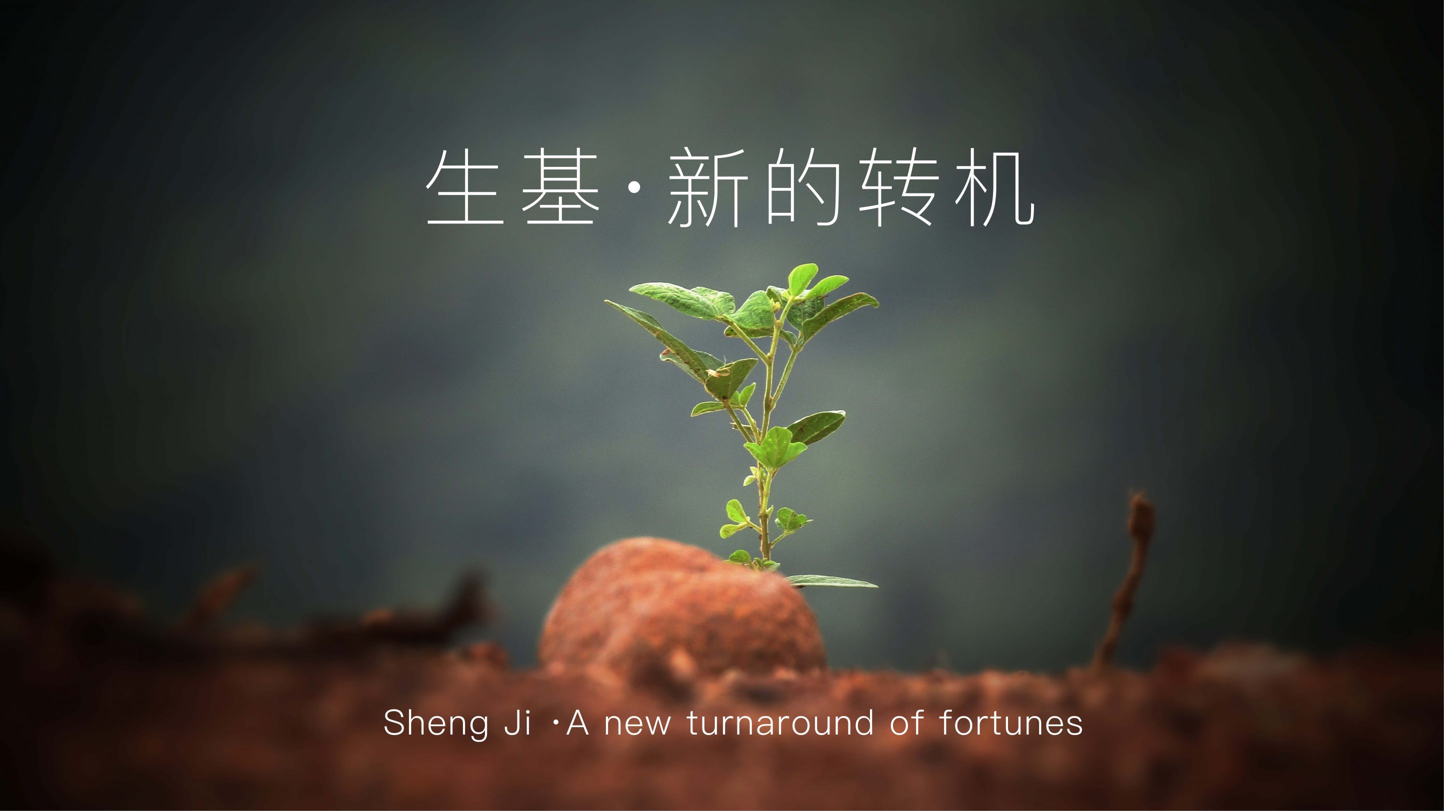 Sheng Ji · A new turnaround of fortunes | Nirvana Asia
