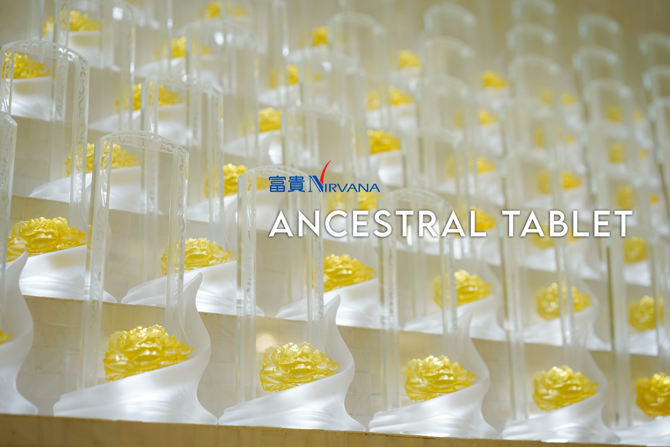 Article | Nirvana Asia